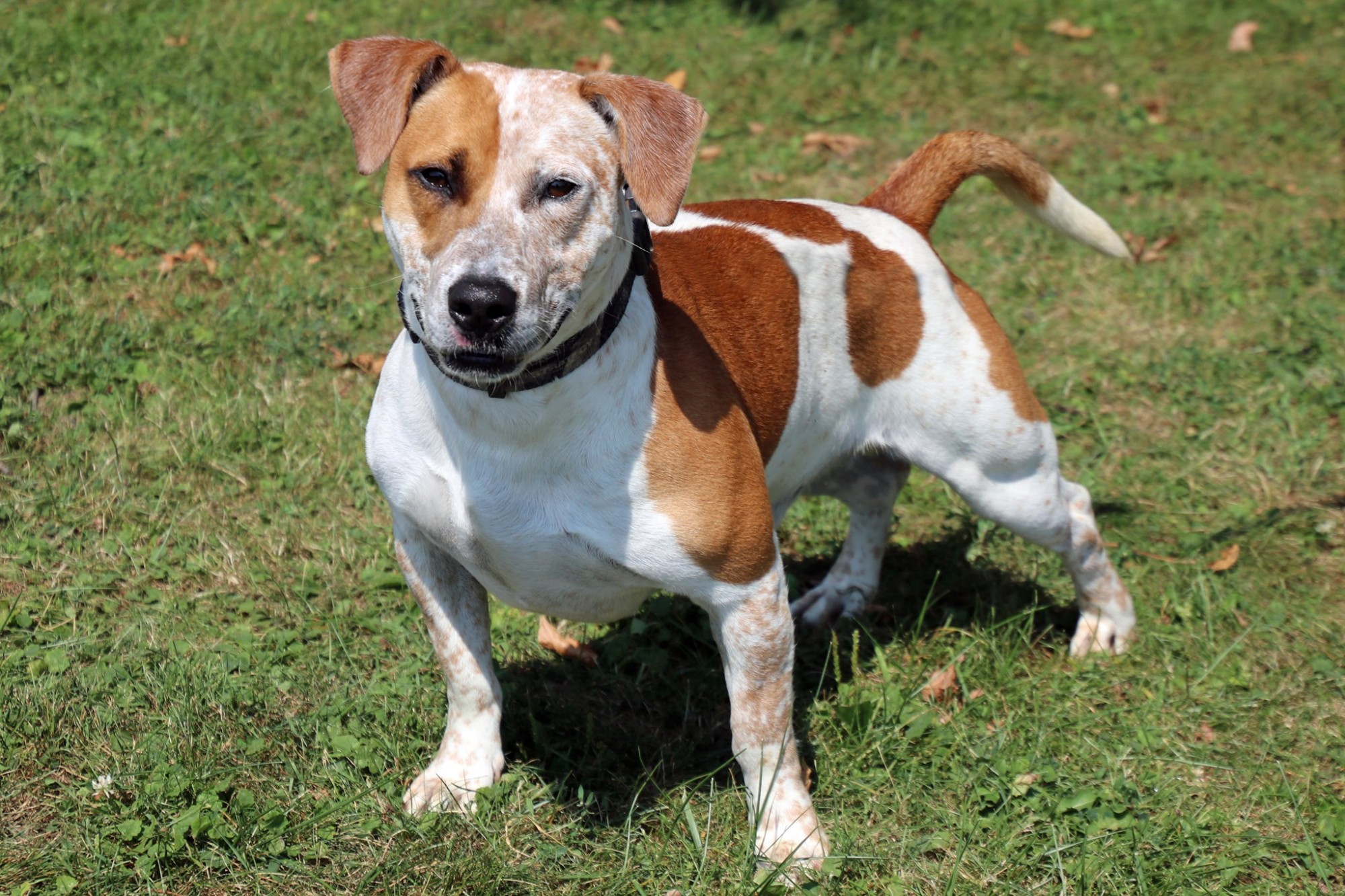 For Residents | Ashland County, Ohio